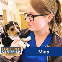 Team - Vet in Oviedo | Shaffer Animal Hospital