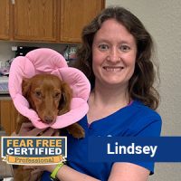 Team - Vet in Oviedo | Shaffer Animal Hospital