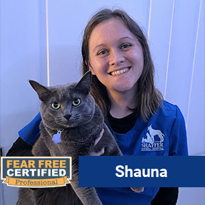Team - Vet in Oviedo | Shaffer Animal Hospital