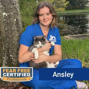 Team - Vet in Oviedo | Shaffer Animal Hospital