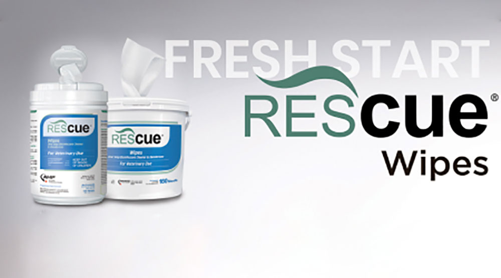 Training Videos - Vet in Oviedo | Shaffer Animal Hospital