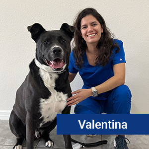 Team - Vet in Oviedo | Shaffer Animal Hospital