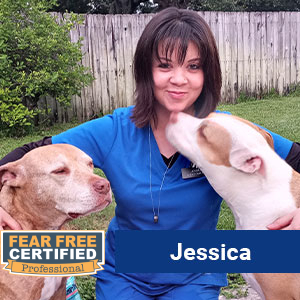 Team - Vet in Oviedo | Shaffer Animal Hospital